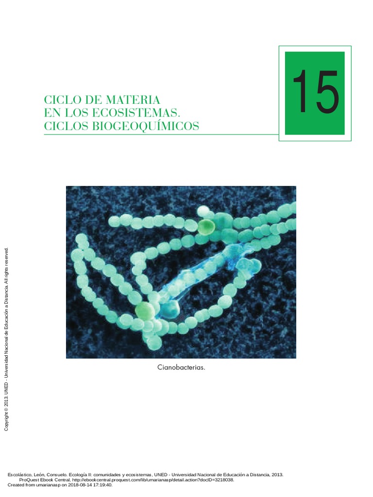 Ciclo de Materia en Los Ecosistemas Cicl | PDF