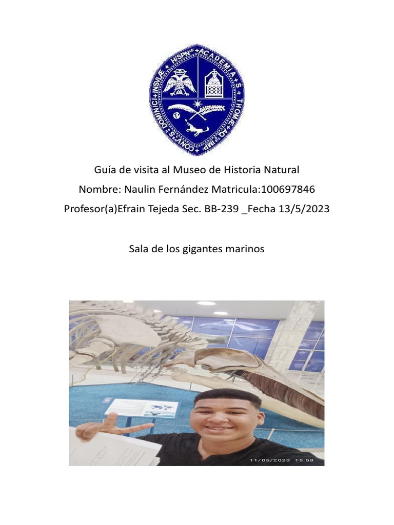 Tarea 4 - Visita Al Museo | PDF | Ámbar | Ecosistema