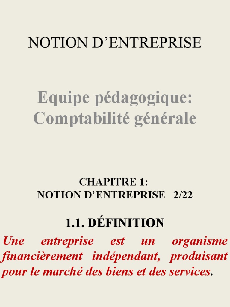 Définition et Notion d'Entreprise | PDF | Business | Comptabilité ...