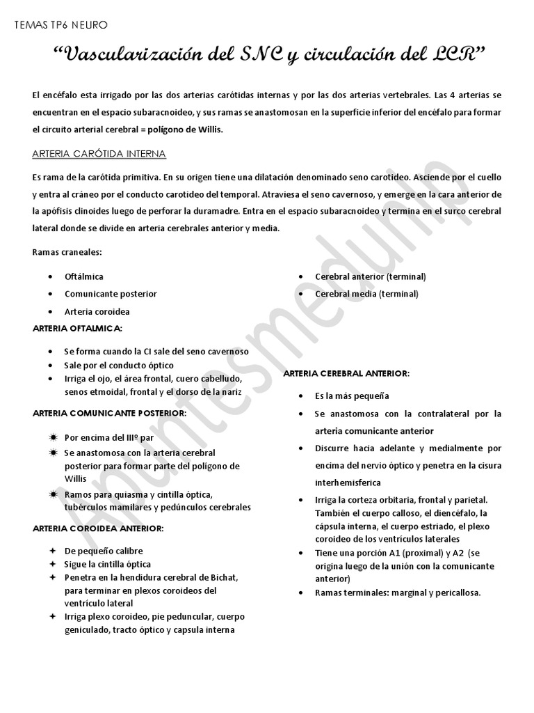 Temas TP6 Neuroanatomia | PDF