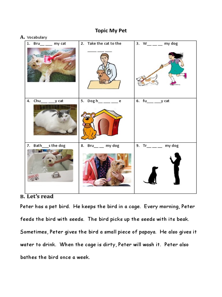 My Favourite Animals | PDF | Cats | Dogs