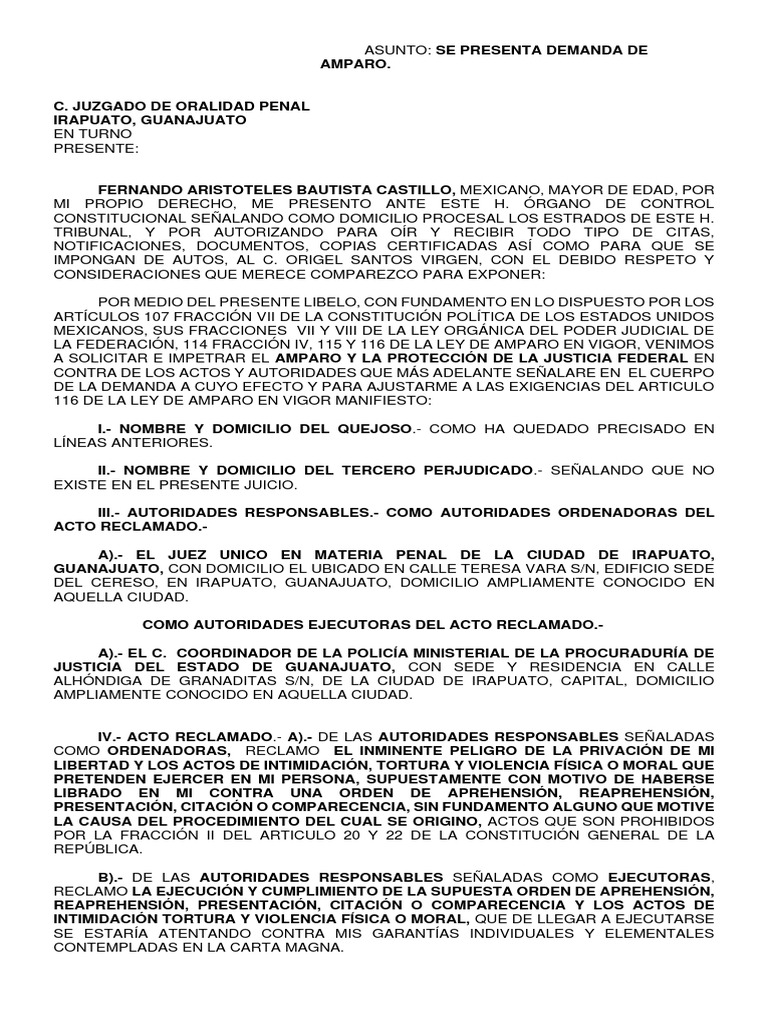 amparo fernando orden de aprension | PDF