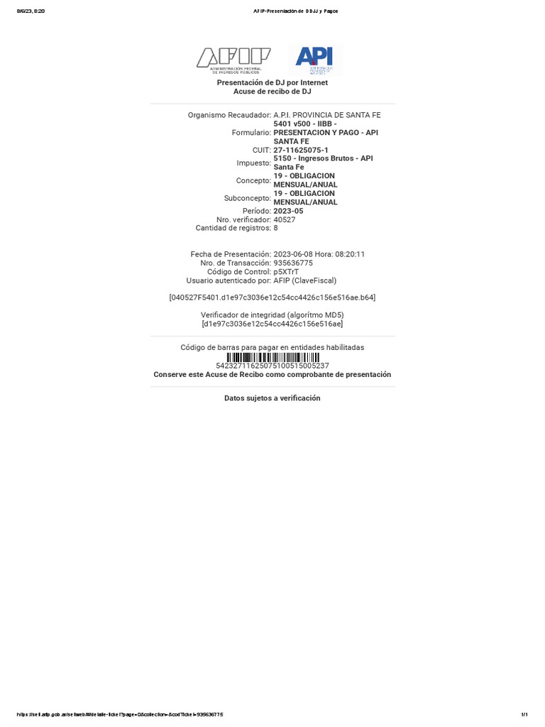 AFIP-Presentación de DDJJ y Pagos | PDF | Informática | Tecnologías de la información