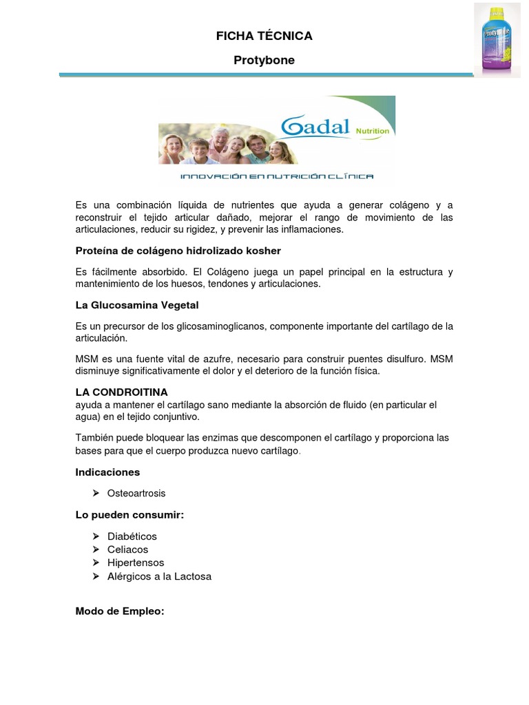 Ficha Tècnica Protybone | PDF