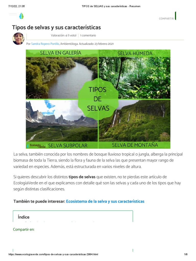 TIPOS de SELVAS y Sus Características - Resumen | PDF