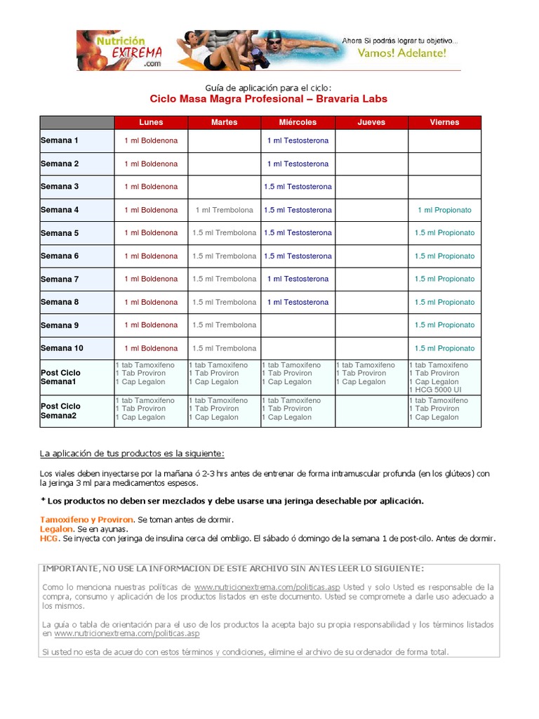 Ciclo Masa Magra Profesional - Bravaria Labs | PDF | Medicina CLINICA ...