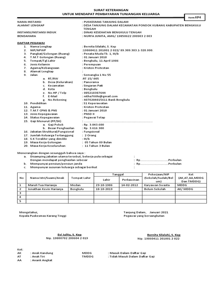 Nita Pdf