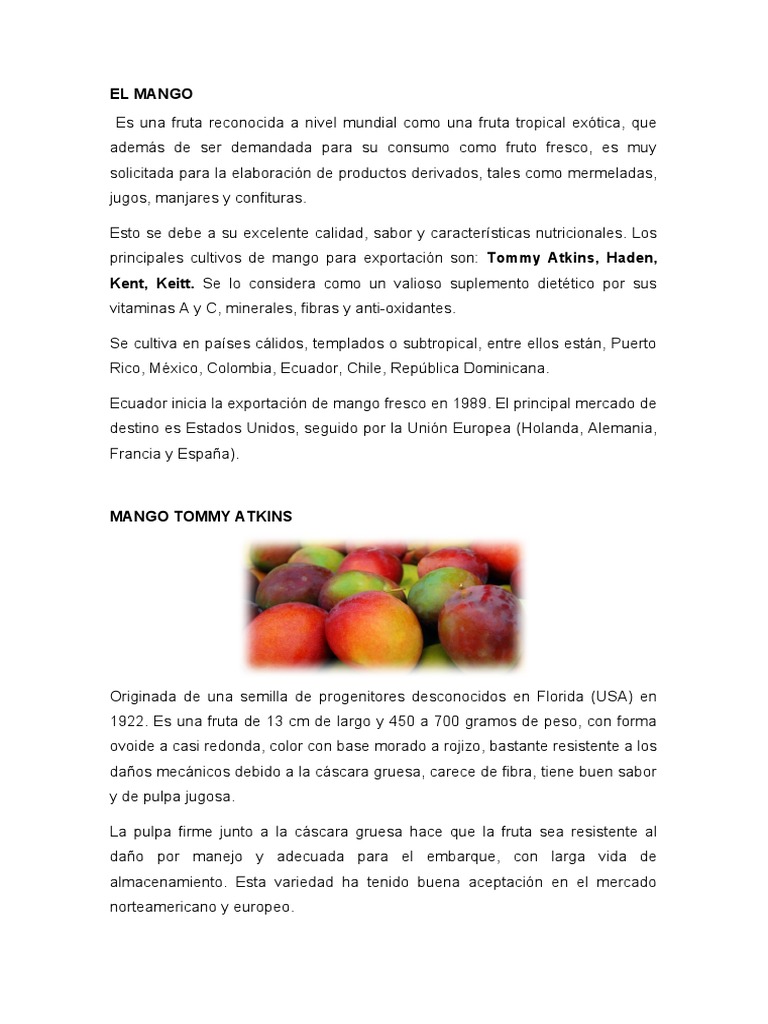 EL MANGO TOMMY | PDF