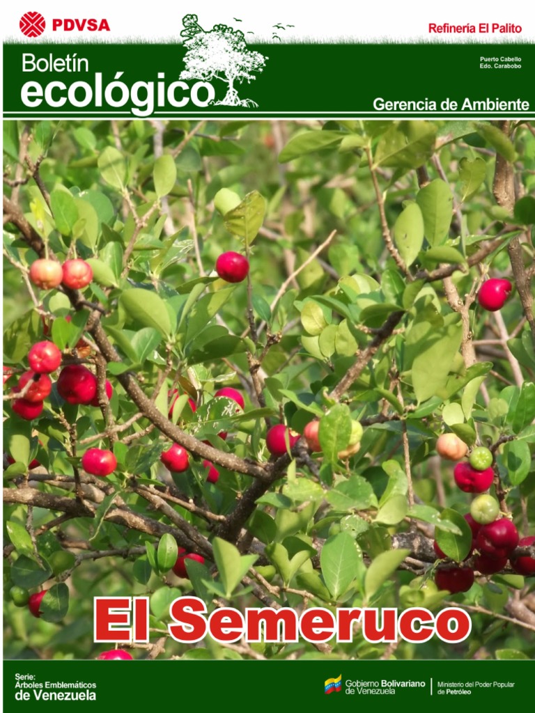 El Semeruco | PDF