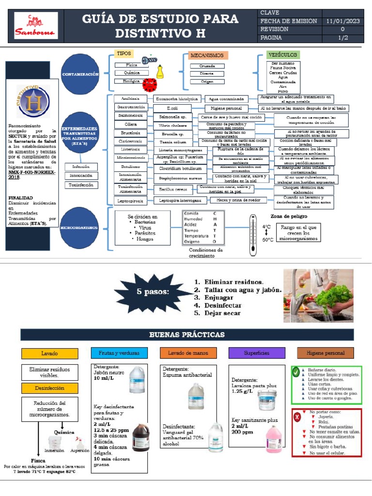 Guía de Estudio para DH 2023 | PDF | Hogar, jardinería y bricolaje ...
