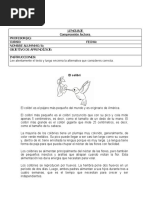 Anatomía de la Arteria Pedia del Pie | PDF | Pie | Dedo del pie