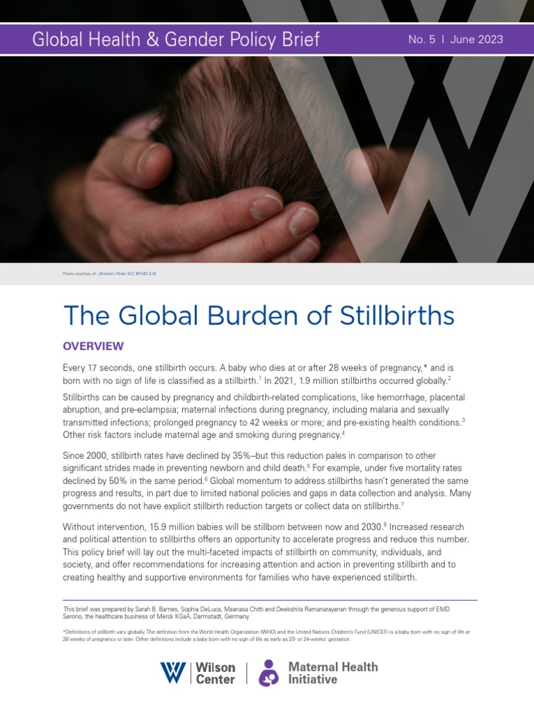 The Global Burden of Stillbirths | PDF