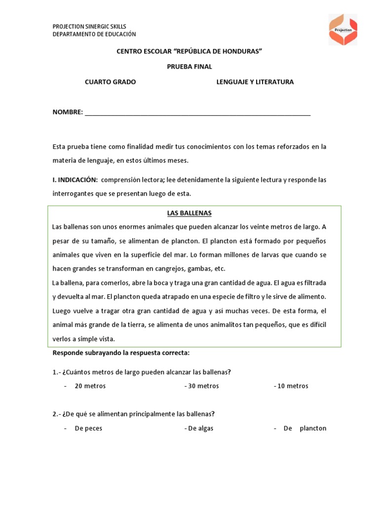 Prueba de Lenguaje Cuarto Grado | PDF