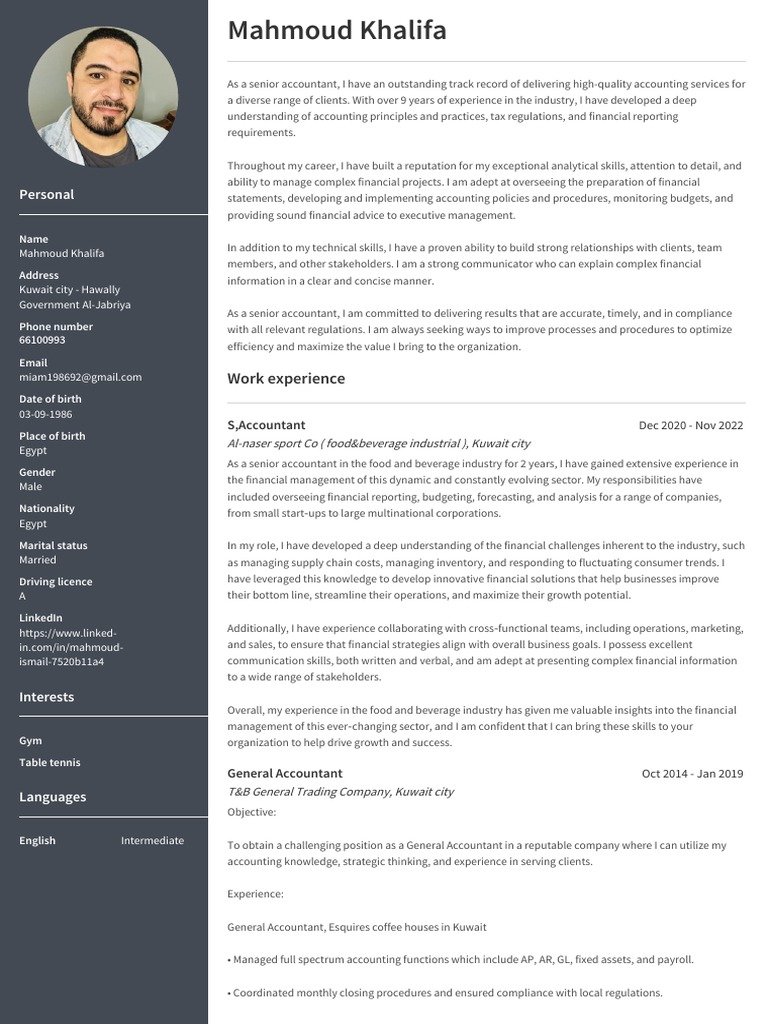 Mahmoud CV | Download Free PDF | Microsoft Excel | Accounting