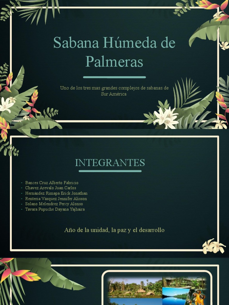 Impacto Ambiental - Ecosistema - Sabana Humeda de Palmeras | PDF ...