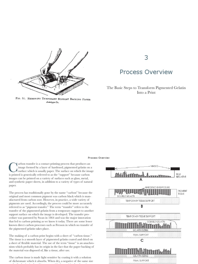 Carbon Printing-Process Overview | PDF