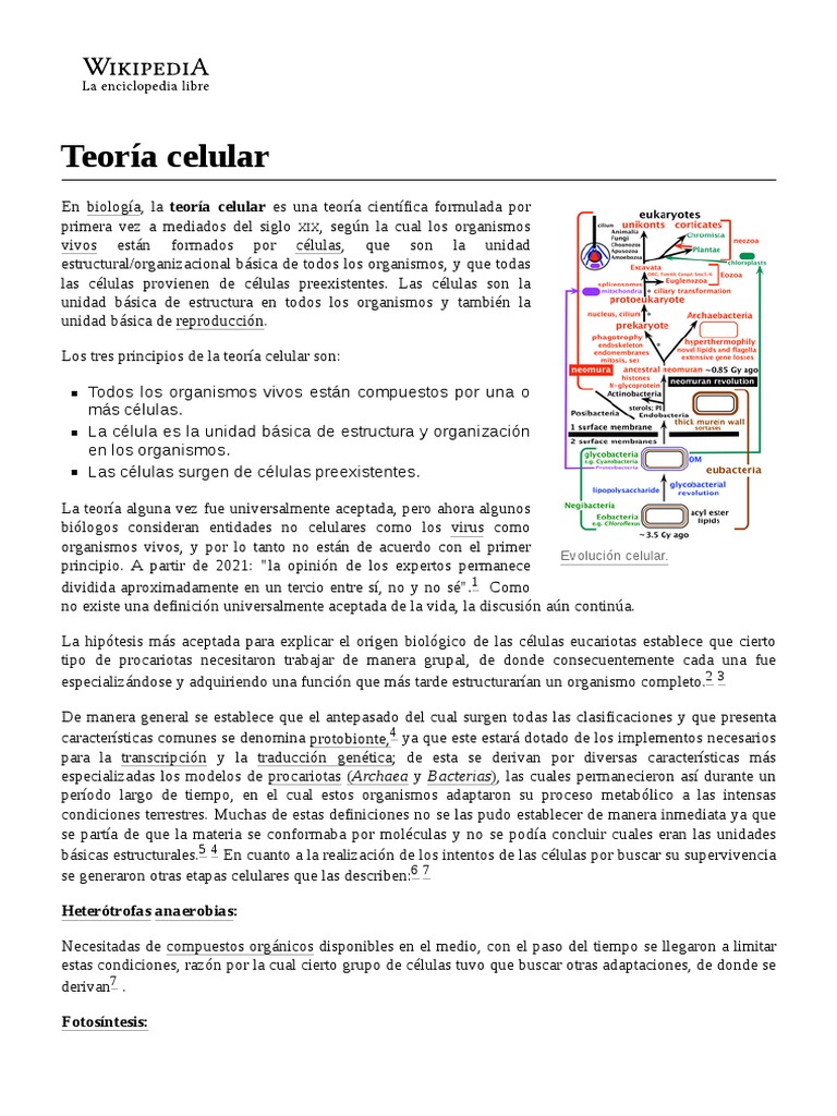 Principios de la Teoría Celular | PDF | Organismos | Biología Celular)