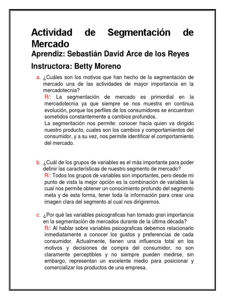 Actividad de Segmentación de Mercado | PDF
