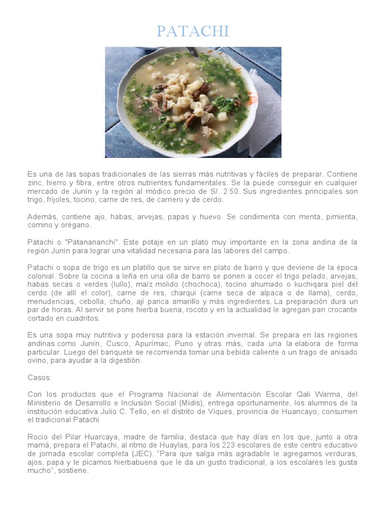 PATACHI - Comunicación | PDF