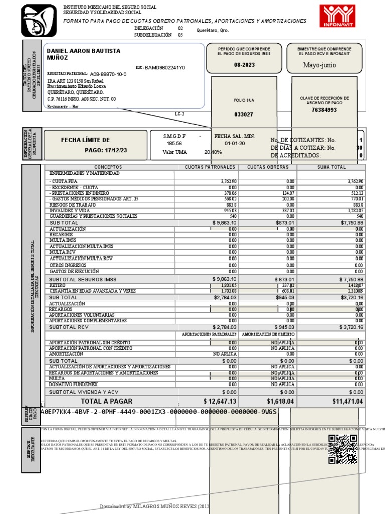 Formato de Cuotas Obrero Patronales Aportaciones y Amortizaciones | PDF