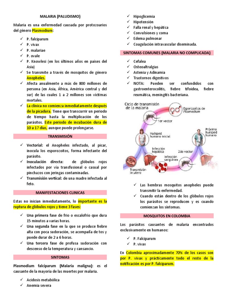 Malaria: Causas, Síntomas y Tratamiento | PDF | Malaria | Plasmodium ...