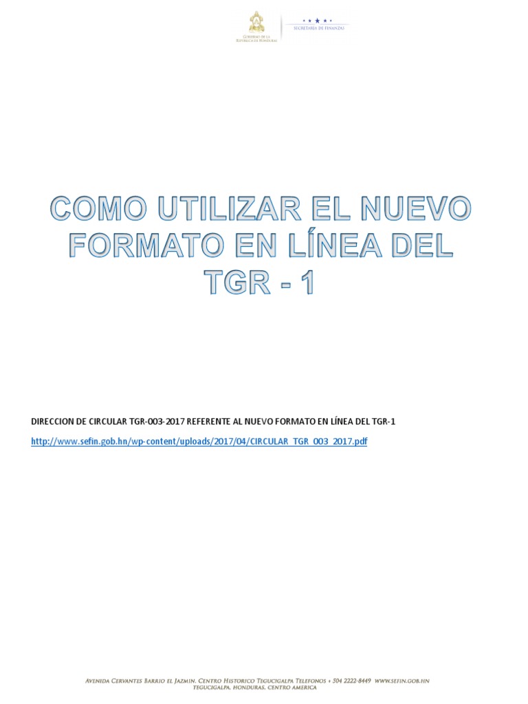 Manual Nuevo TGR 1 | PDF | Negocios | Finanzas y dinero