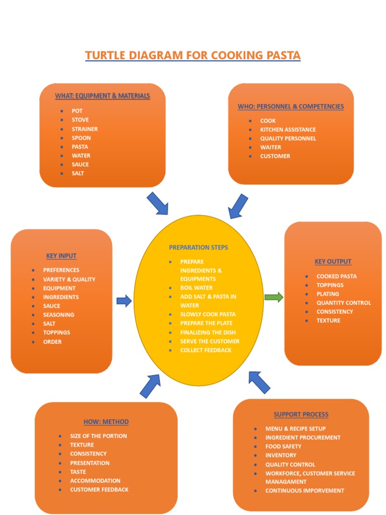Turtle Diagram | PDF