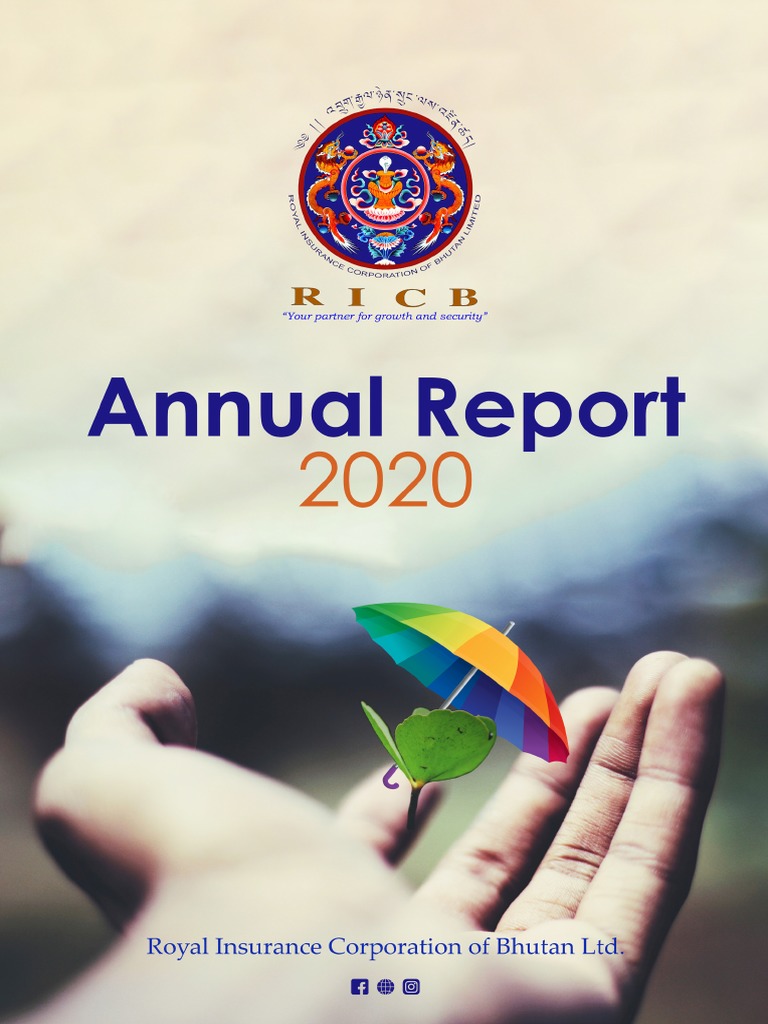 RICB 2020 Annual Report | PDF | Business
