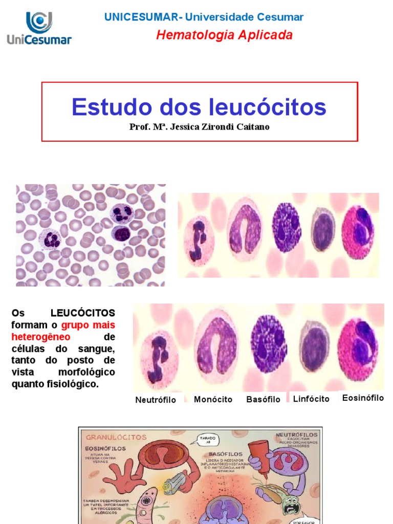 AULA 5 - ESTUDOS DOS LEUCÓCITOS | PDF | Glóbulo branco | Histologia