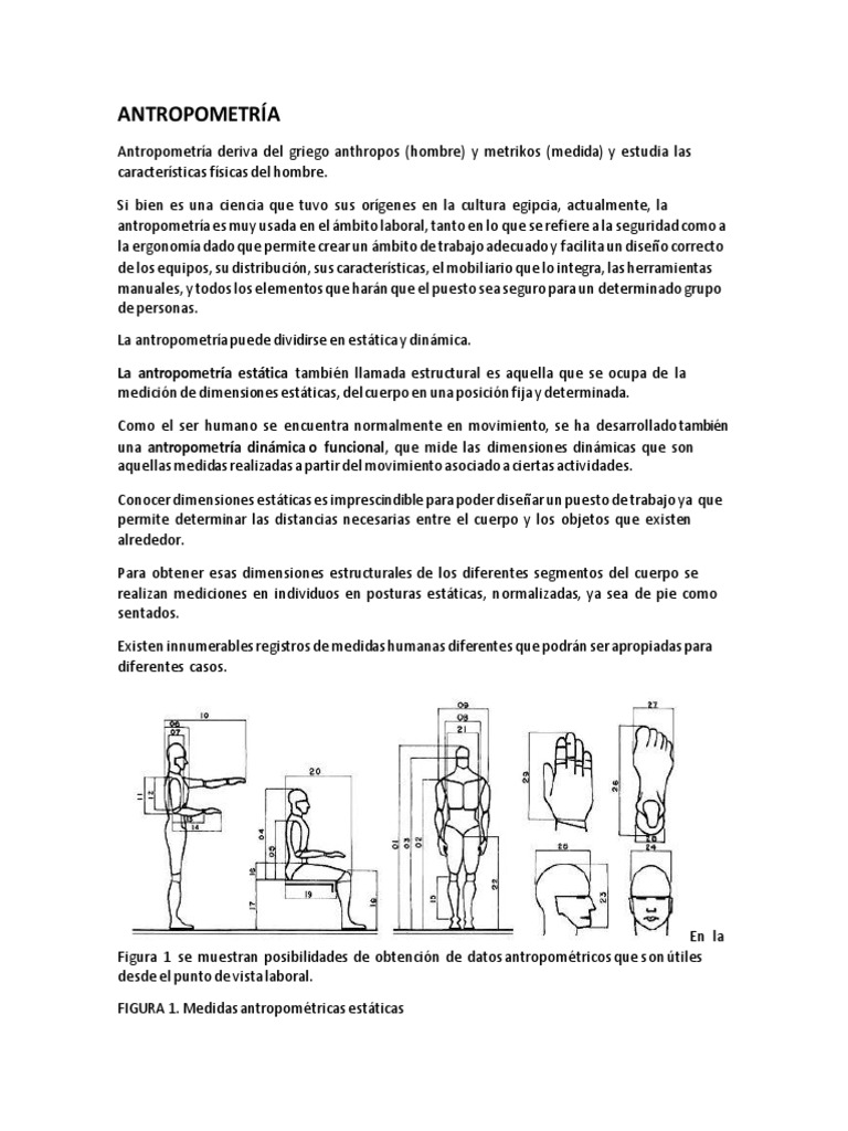 Antropometria | PDF