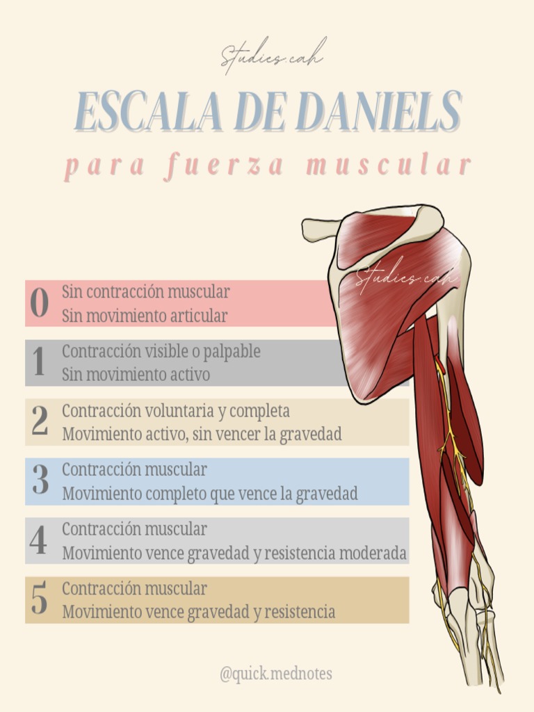 Escala de Daniels | PDF