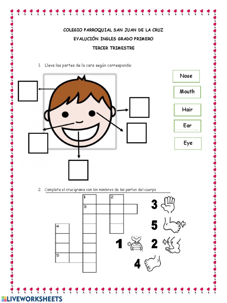 Partes Del Cuerpo Hoja de Trabajo en Ingles | PDF