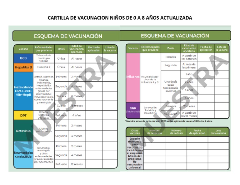NUEVA CARTILLA DE NIÑOS 0 A 8 AÑOS | PDF
