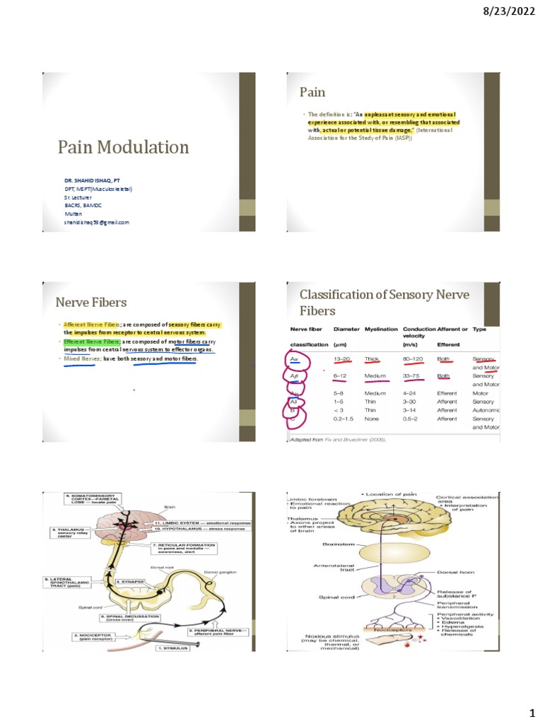 Pain Modulation-1 | PDF