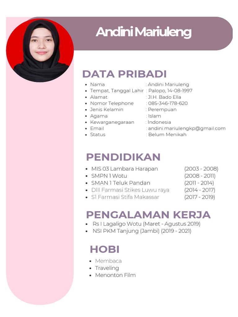 CV Andini | PDF