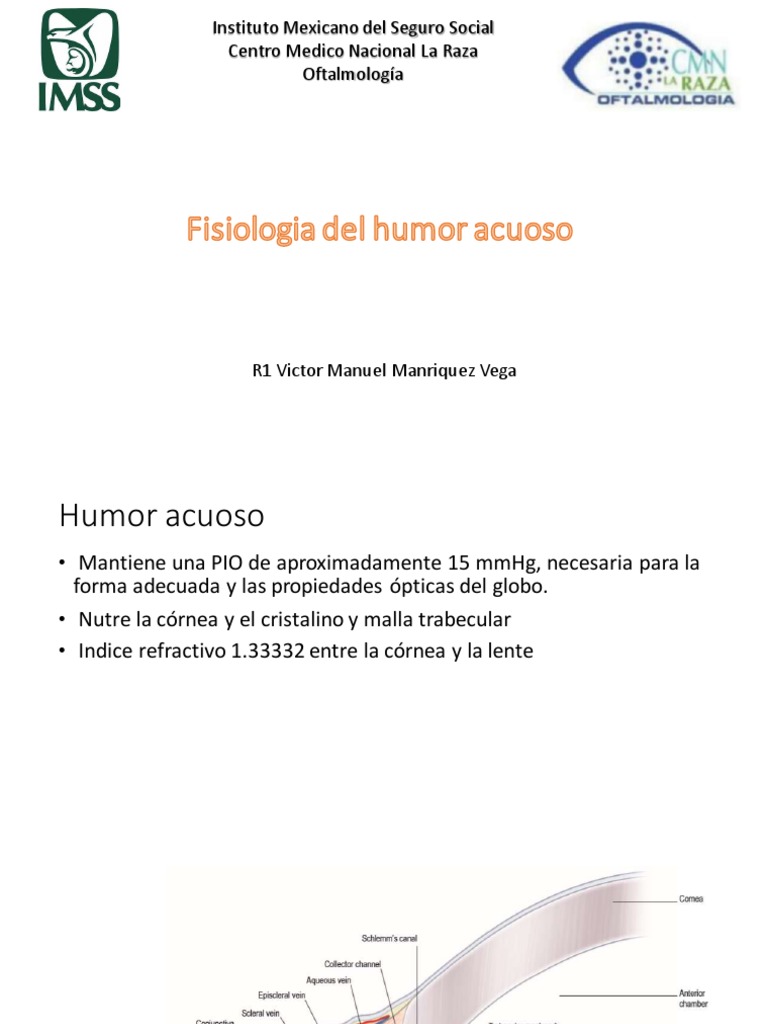 Fisiologia Del Humor Acuoso | PDF | Ojo | Córnea