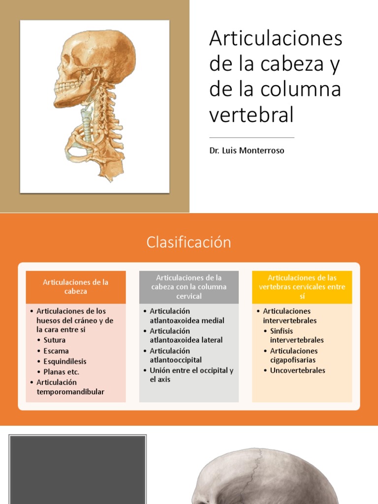 Articulaciones de La Cabeza y El Cuello | PDF