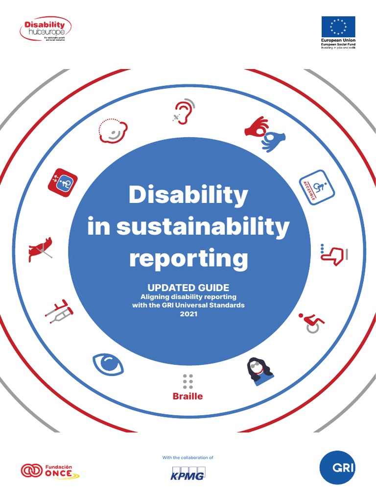 Dhub Disability Reporting Guide | PDF | Disability | Sustainability