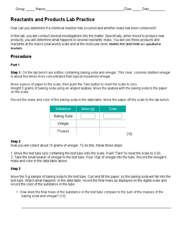 Lab Practice Conservation of Mass | PDF