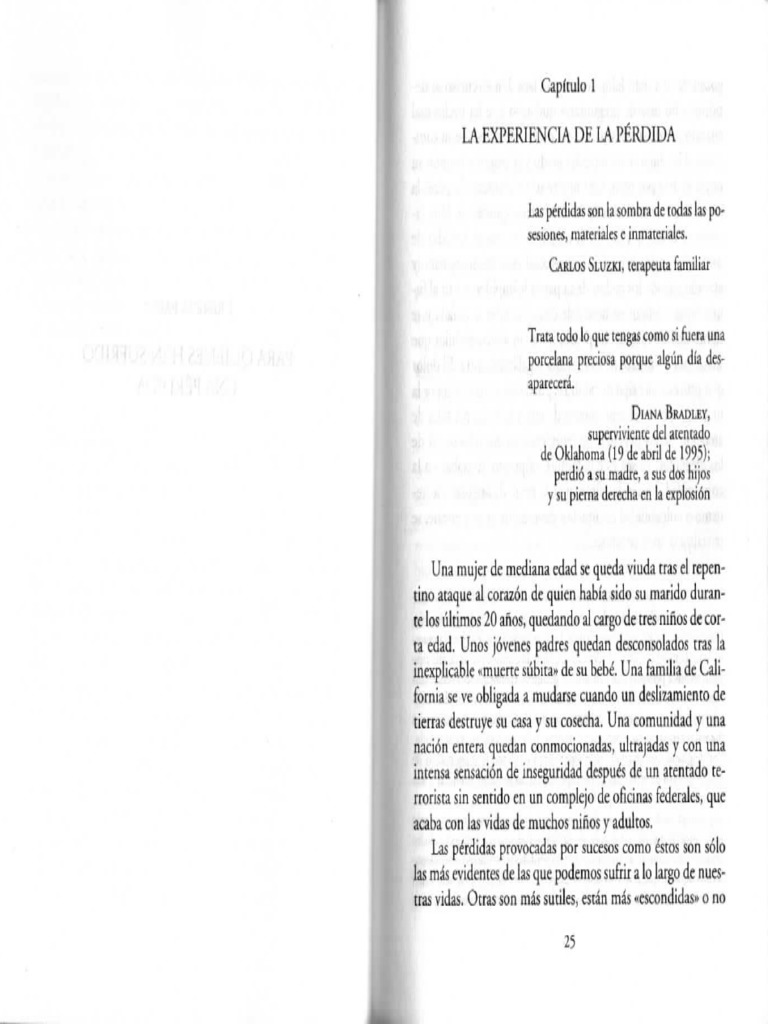 Aprender de La Pérdida. R. Neimeyer | PDF