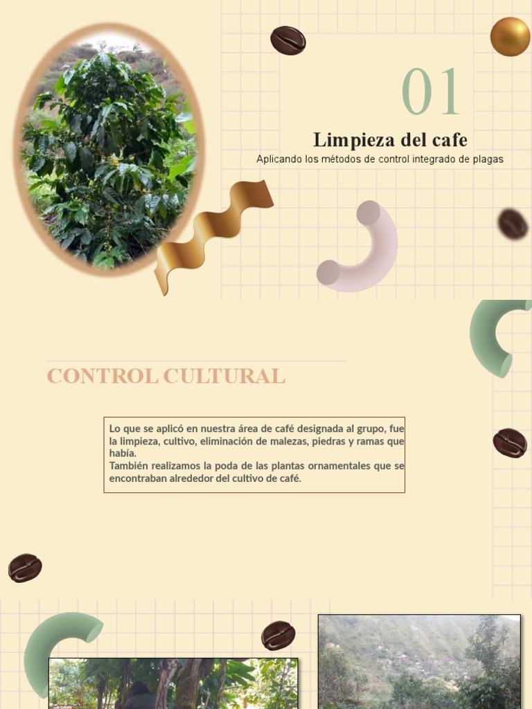 Control de Malezas en Café | PDF