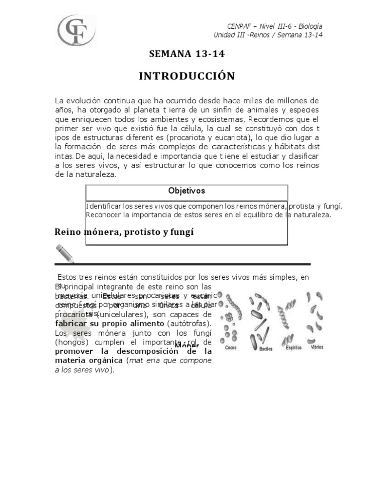 Biologia - Nivel III-6 - Semana 13-14 | PDF
