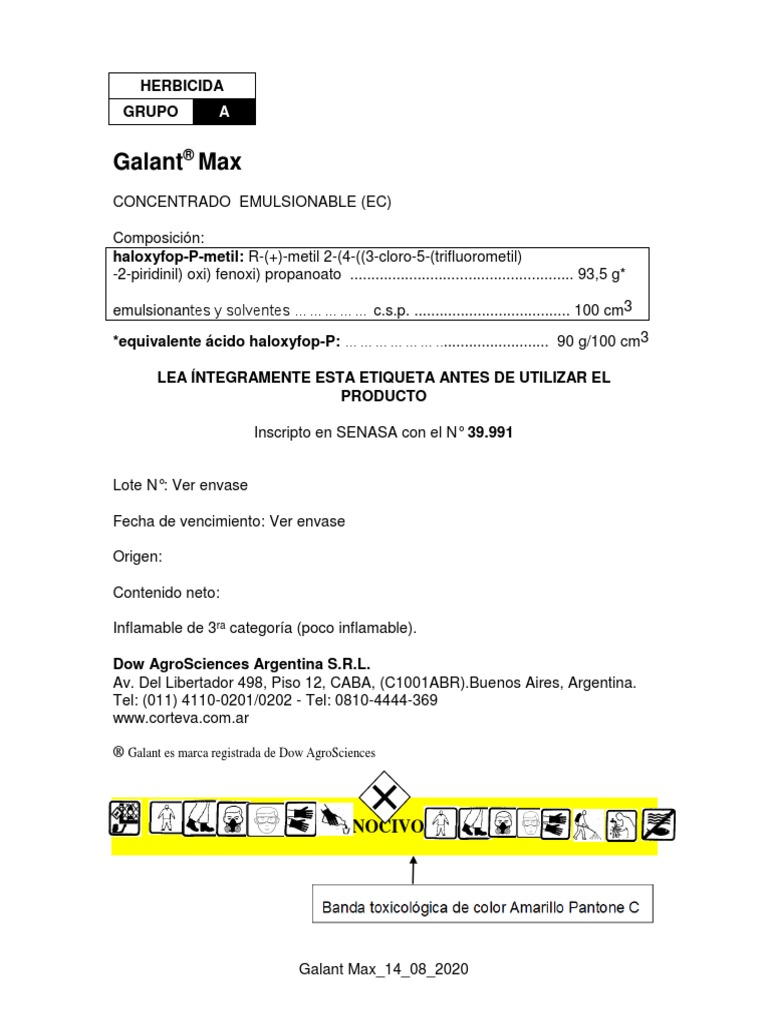 Galant_Max_Argentina | PDF