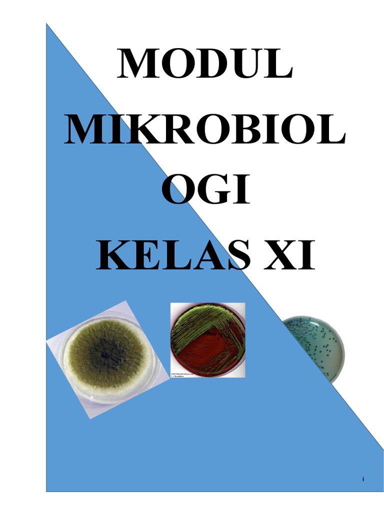 Modul Mikrobiologi XI Ok | PDF