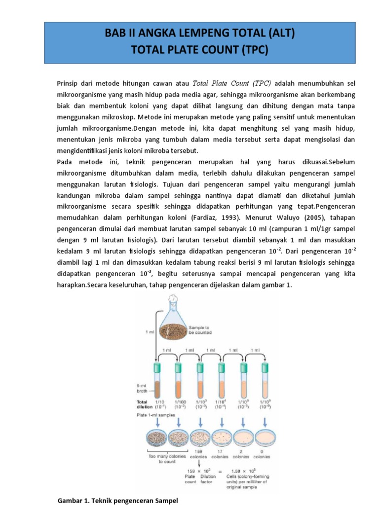 Metode Total Plate Count | PDF