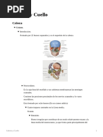 Anatomía Cabeza y Cuello | PDF | Cráneo | Cabeza y cuello humanos