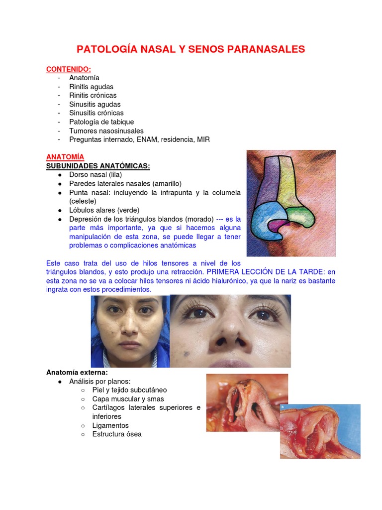 Patología Nasal y Senos Paranasales | PDF | Alergia | Sistema inmune
