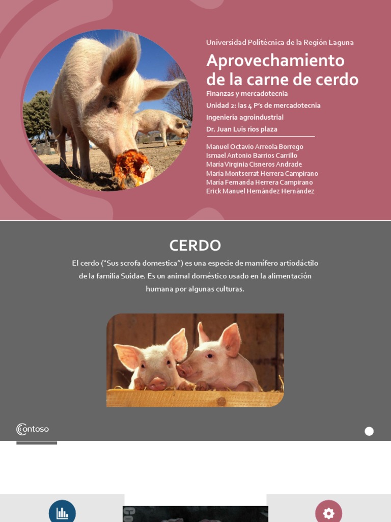 Aprovechamiento de La Carne de Cerdo | PDF | Cerdo | Carne