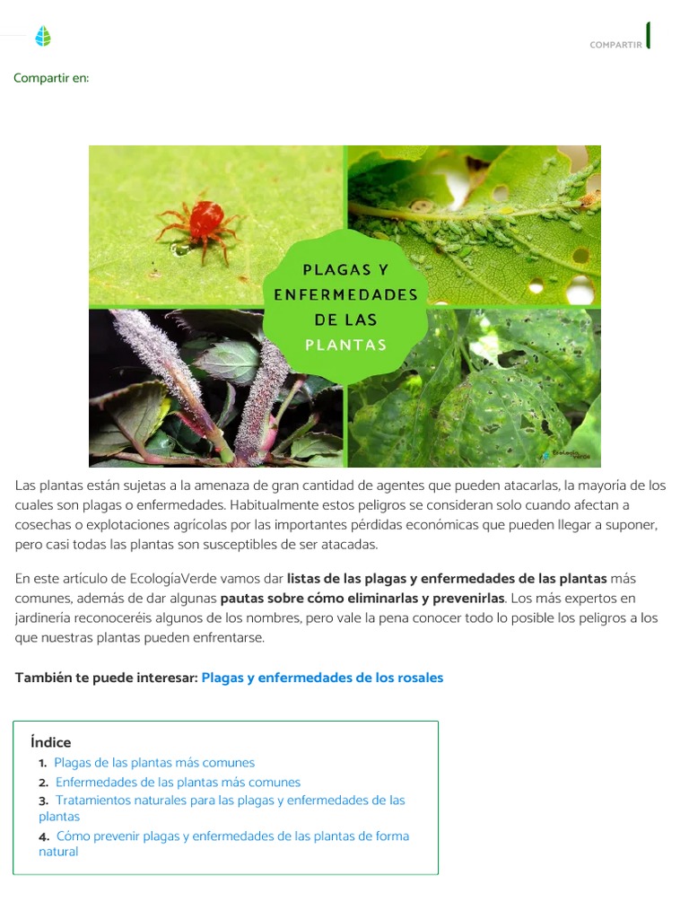 Plagas y Enfermedades de Las Plantas - Listas y Cómo Eliminarlas - FOTOS | PDF | Plaga ...