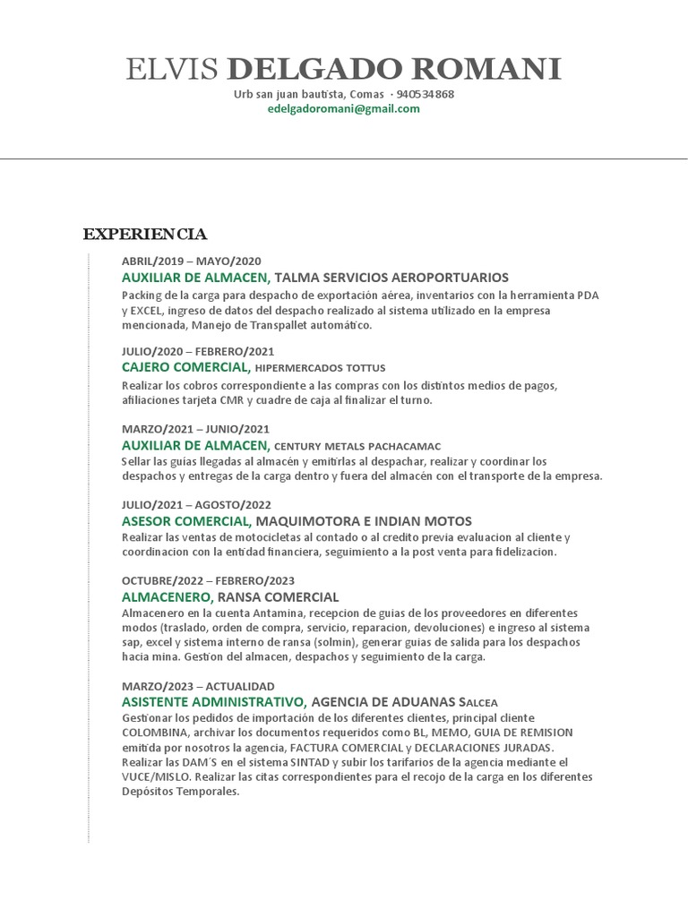 CV Elvis Delgado | PDF